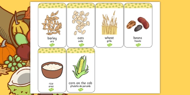 Harvest Grains Flash Cards Romanian Translation