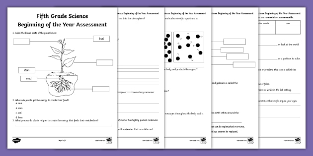 5th Grade Free Printable Science Worksheets
