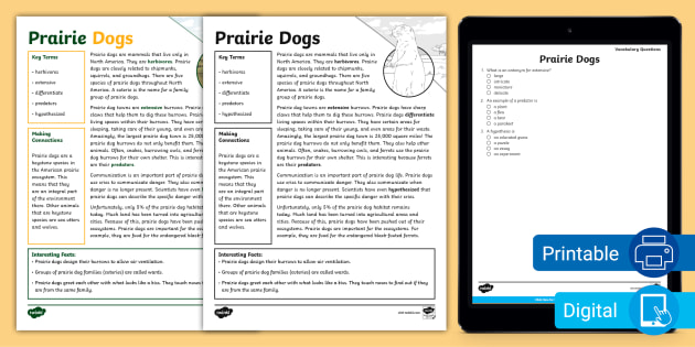 Fourth Grade Prairie Dogs Fact File and Vocabulary Questions