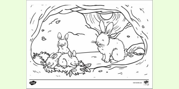 FREE! - Spring Colouring Page for Early Years | Colouring Sheets