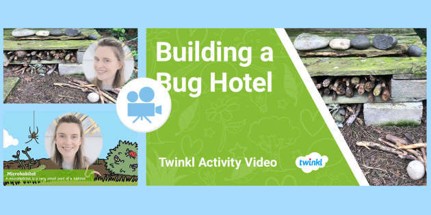 FREE! - KS1 (Ages 5-7) Activity Video: Bug Hotel