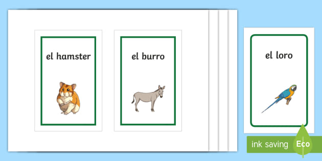 Animal Prompt Frame (Spanish)