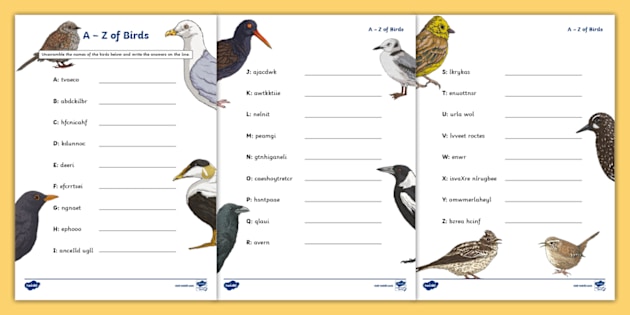 A Z Bird Names