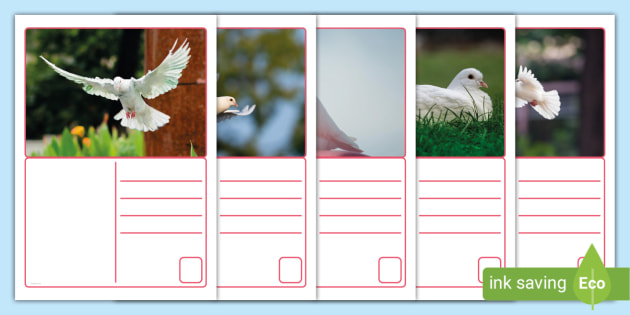 FREE! - Dove Postcards (teacher made)