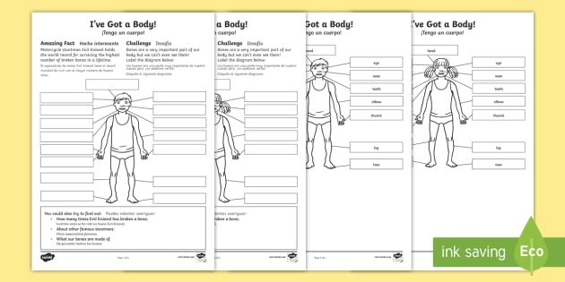 I've Got a Body! Worksheet / Worksheet - English / Spanish