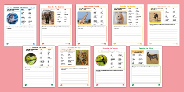 Describe the Animal Pack (teacher made)