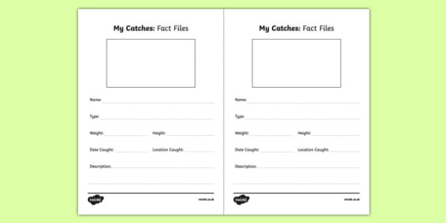My Catches Fact File Worksheet / Worksheet Pack, worksheet