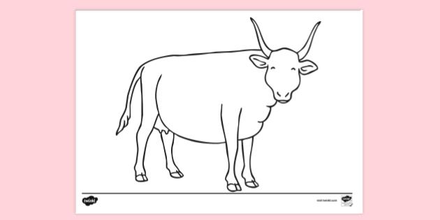 FREE! - Fat Cow Colouring | Colouring Sheet (teacher made)