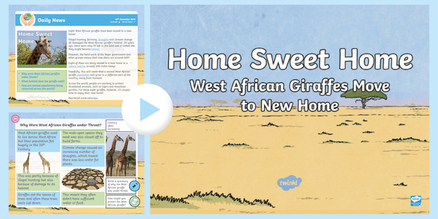 LKS2 Saving Giraffes Daily News PowerPoint (teacher made)