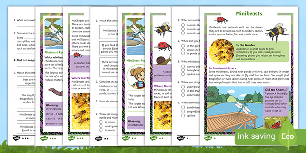 Minibeasts Reading Comprehension Activity (teacher made)