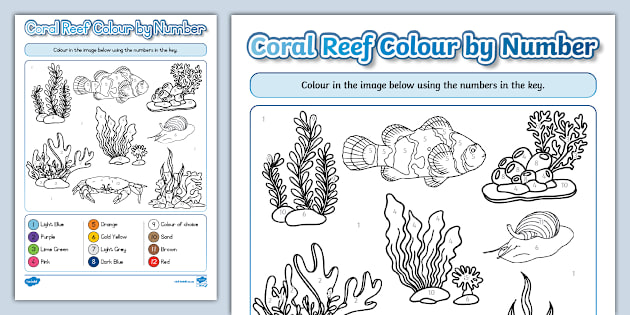 Coral Reefs Education | twinkl.ca