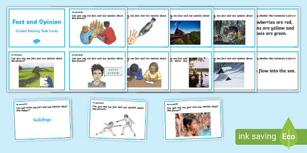 Reading Skills - Fact & Opinion Cards - Printable Resource
