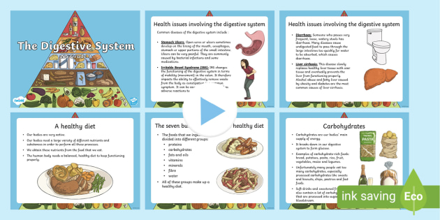 The Digestive System PowerPoint (teacher made)