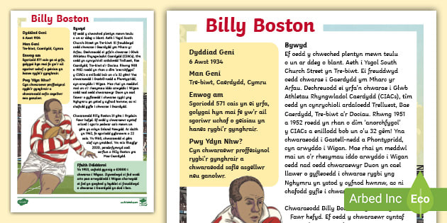 Ffeil Ffeithiau Billy Boston