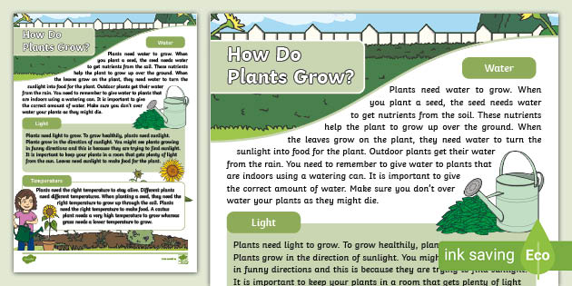 How Do Plants Grow Fact File