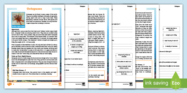 FREE! - Octopus Reading Comprehension Activity | Twinkl