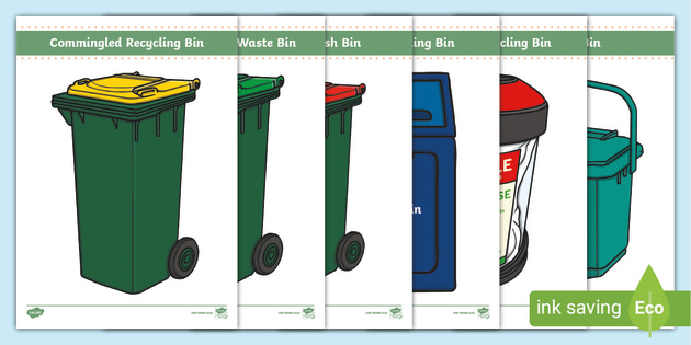 Which Bin Does It Go In? Sorting Activity