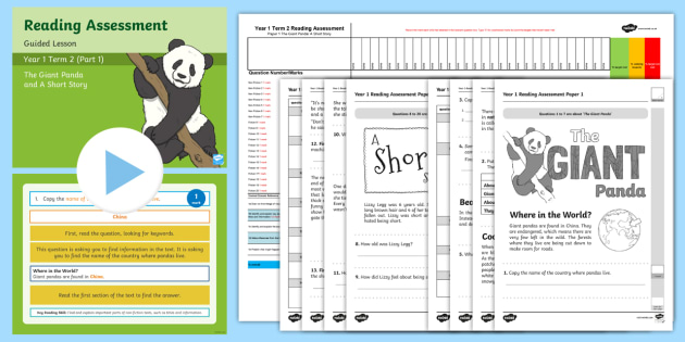 Year 1 Term 2 Paper 1 Reading Assessment Bumper Resource Pack