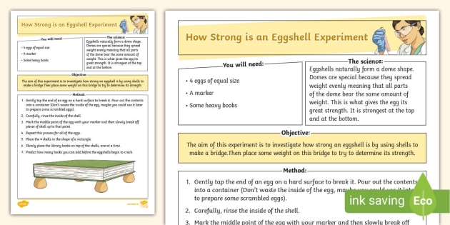 How Strong is an Eggshell Experiment (teacher made)