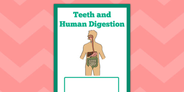 Teeth and Human Digestion Book Cover (teacher made)
