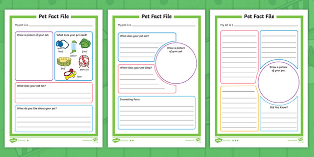Formidable Sid Pet Fact File Writing Frames (teacher made)