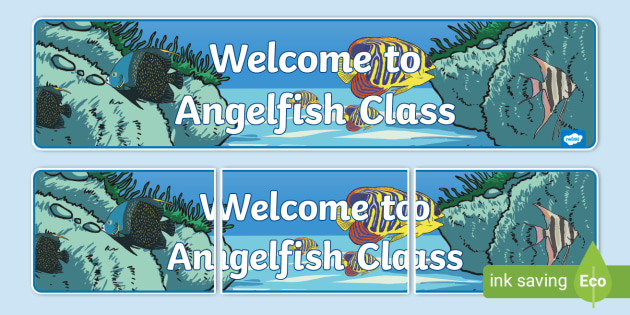 👉 * NEW * Welcome to Angelfish Class Display Banner