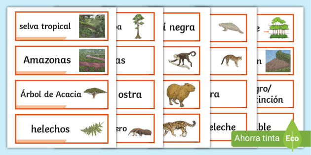 Cuáles son las especies características de la selva tropical