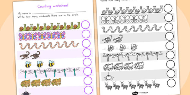 Minibeasts Cute Counting Worksheet