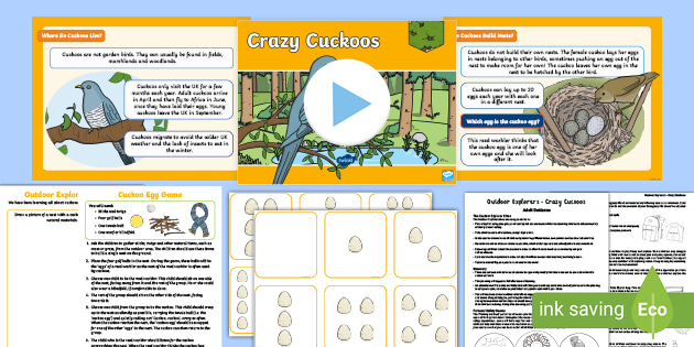Outdoor Explorers KS1 Summer Lesson 5 Crazy Cuckoos