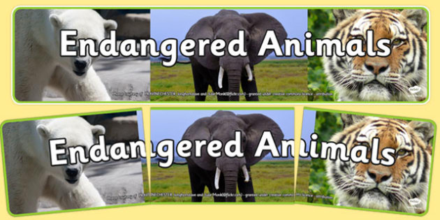 Endangered Animals Sign