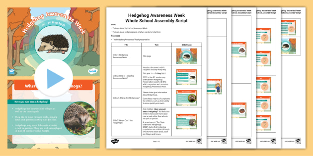Hedgehog Awareness Week Whole School Assembly Pack