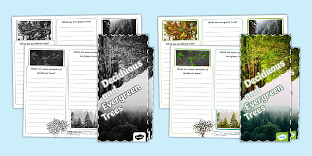 Botany Resources | twinkl.co.uk
