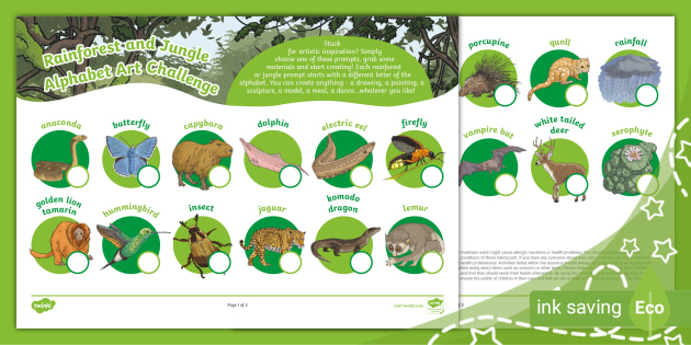 Jungle Activities | twinkl.co.uk