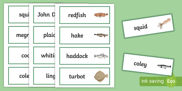 Fishing in Scotland Word Cards (teacher made)