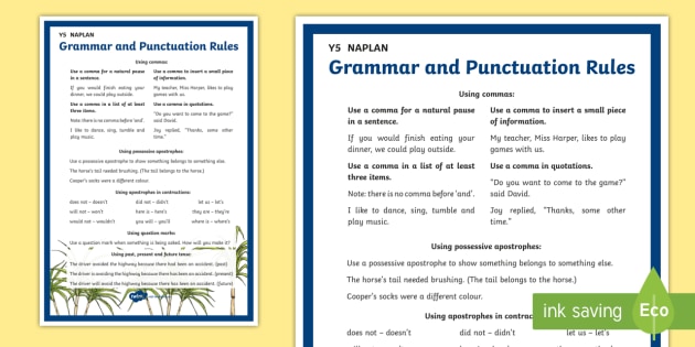 Y5 NAPLAN Grammar & Punctuation Rules Poster (teacher made)
