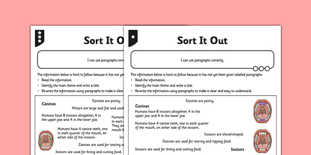 Sort Into Paragraphs Differentiated Worksheet
