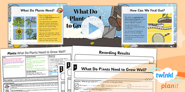 Plants Year 3 • Twinkl.ca