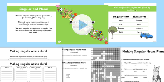 Making Singular Nouns Plural Lesson Teaching Pack