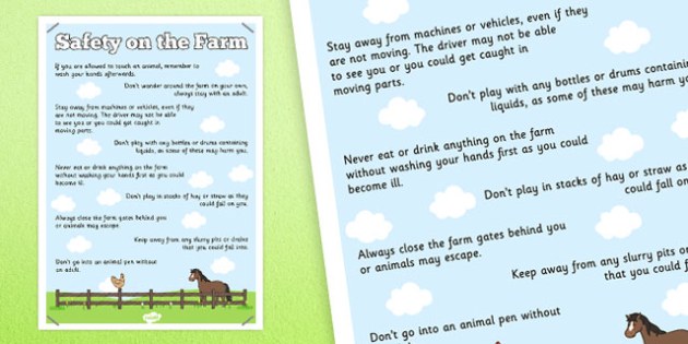 Safety on the Farm Poster (teacher made)