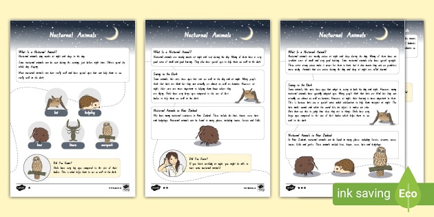 Nocturnal Animals Differentiated Reading Comprehension