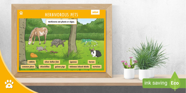 Herbivorous Pets Poster - Herbivore - Herbivorous - Pets