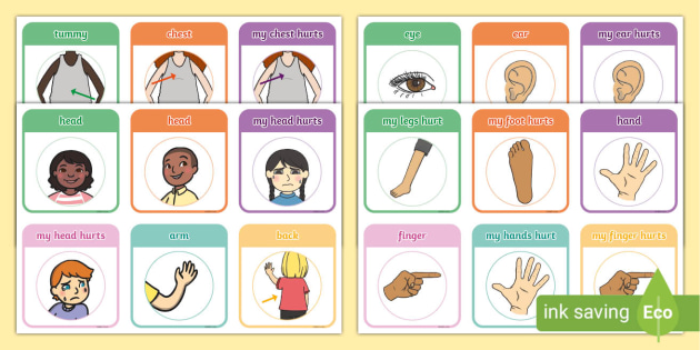 Parts Of The Body Communication Cards (teacher made)