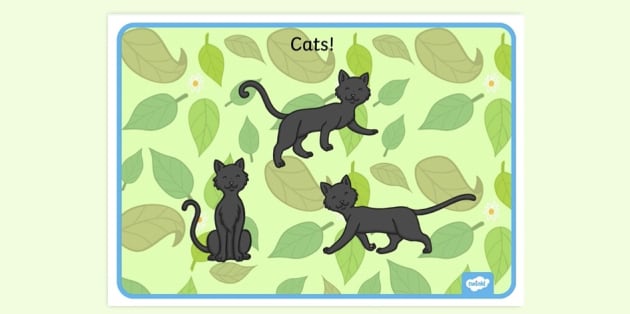 FREE! - Printable Cats Poster | Twinkl Display Resources