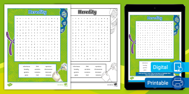 Third Grade Word Searches | twinkl.com