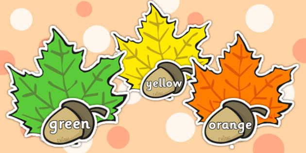 Autumn Acorn and Leaf Matching Activity - autumn, acorn, leaf
