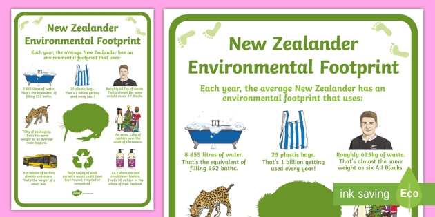 What is Kaitiakitanga? Māori Concept Explained - Twinkl NZ