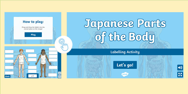 Japanese Parts of the Body Labelling Activity Hiragana