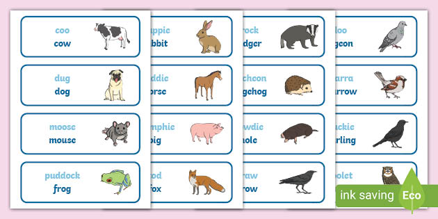 Scots/Doric Animal Words Cards - Teacher-made CfE Resource
