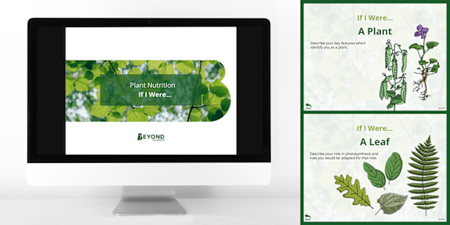 Photosynthesis PowerPoints | twinkl.com.au