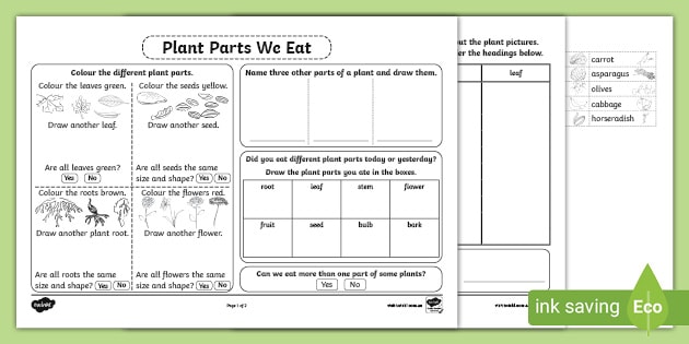 Plant Parts We Eat Worksheets (teacher made)